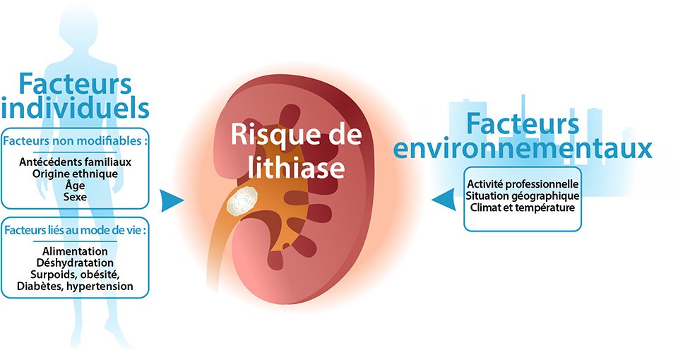 Hydratation et lithiase - Hydration for Health
